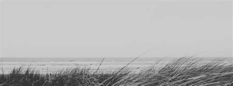 Ministry Of Design Experiments