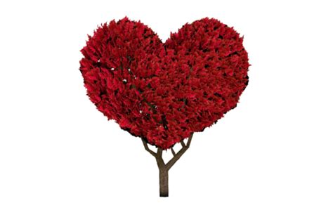 Heart Tree PNG Transparent Images Free Download Vector Files Pngtree