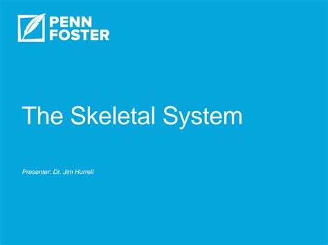 SOLUTION Chapter 007 The Skeletal System Studypool
