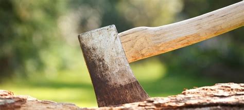 Cutting Down Trees With An Axe DoItYourself Com
