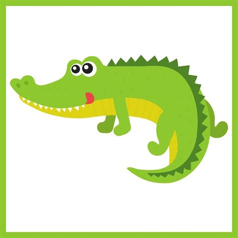 Premium Vector Alligator Vector