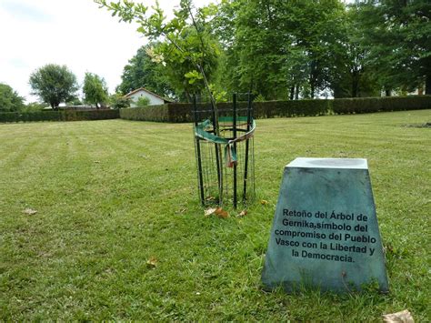 Elsbeth Kasser Enfermera En El Campo De Gurs Francia