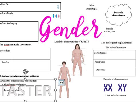 AQA Psychology Gender Knowledge Organiser Teaching Resources