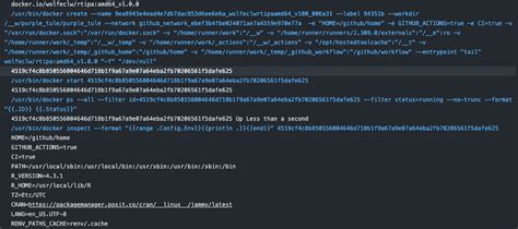 Docker Github Actions Runner Cant Find R Packages Stack Overflow