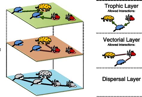 Figure 1 From Parasite Spreading In Spatial Ecological Multiplex