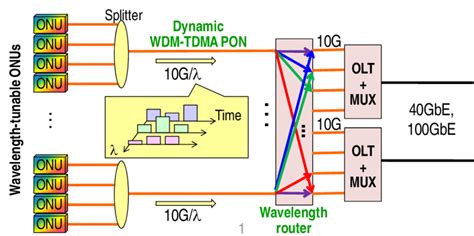 Long Term Evolution Of Optical Access Network Based On A Dynamic Download Scientific Diagram