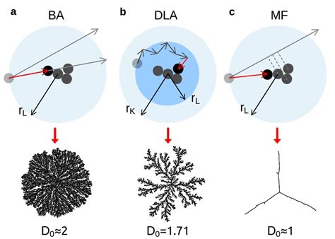 Fundamental Models Of Aggregation After Been Launched Into The System