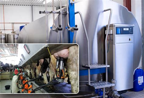 Aspectos Que Usted No Conocía De La Conservación De Leche En Tanques