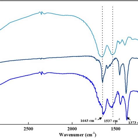 Ftir Spectra Of Free Lipase Cu Btc Mof And Lipasecu Btc Download