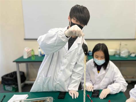 【深圳and成都】数学建模及场景化实践 Xlab