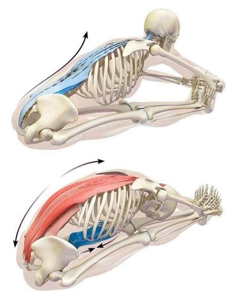 Иогийн ухаан Иогийн ухаан Added A New Photo