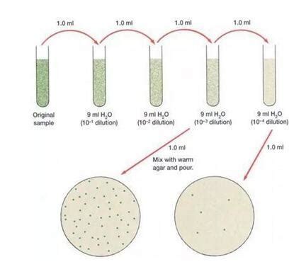 微生物检测基础知识大全 上海谓载科技有限公司