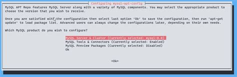 Enable Mysql Server On Debian 10 Bobnoordamnl