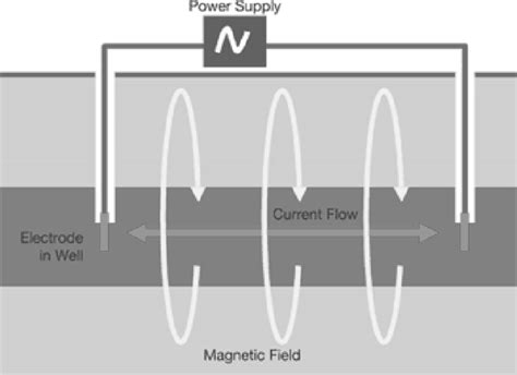 16 Willowsticks Aquatrack Technology Which Can Trace The Path Of