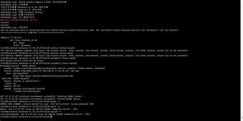 Dataease离线安装无法启动 Dataease 社区论坛 Fit2cloud 飞致云