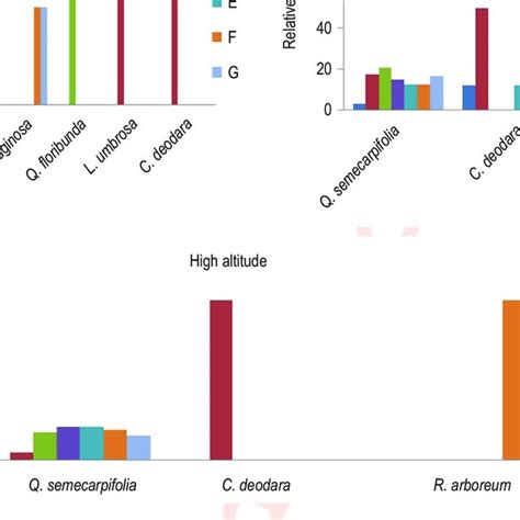 Regeneration Patterns Of Tree Species In Different Sites A