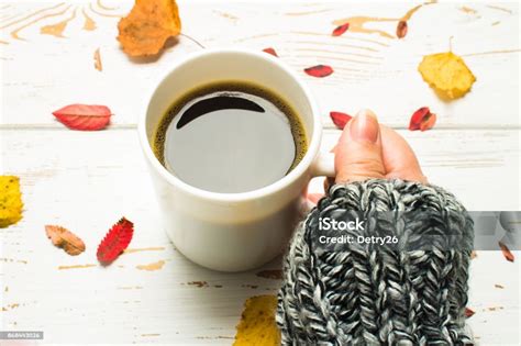 스웨터 니트 스카프와 나무 테이블에가 속에서에서 여자의 손에 뜨거운 커피의 낯 짝 스웨터 안락 온 정 아늑한입니다 0명에 대한 스톡 사진 및 기타 이미지 Istock