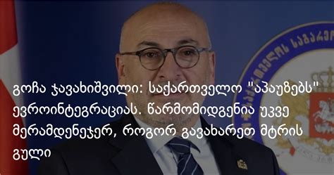 გოჩა ჯავახიშვილი საქართველო აპაუზებს ევროინტეგრაციას წარმომიდგენია