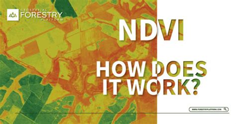 Ndvi Normalised Difference Vegetation Index Geospatial Forestry Platform