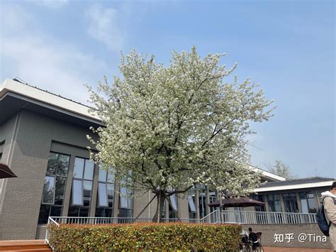 构建全面薪酬体系的思考 知乎