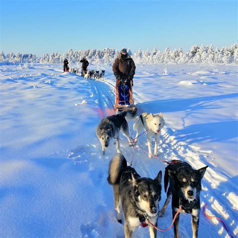 Frozen Module 4 Specialist Skills Training Sweden Wild Human