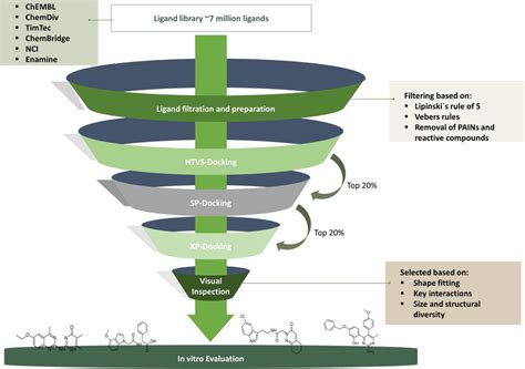 Structure‐based Virtual Screening Protocol Download Scientific Diagram