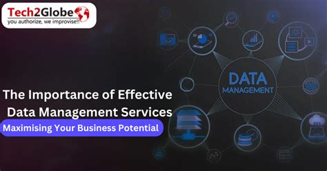 The Importance Of Effective Data Management Services