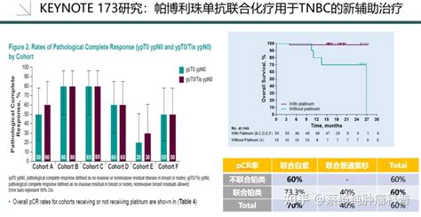 免疫治疗在三阴性乳腺癌治疗中的突破 知乎