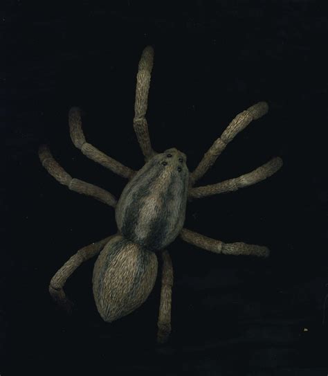 Epoxy Tracy Rapiers Blog