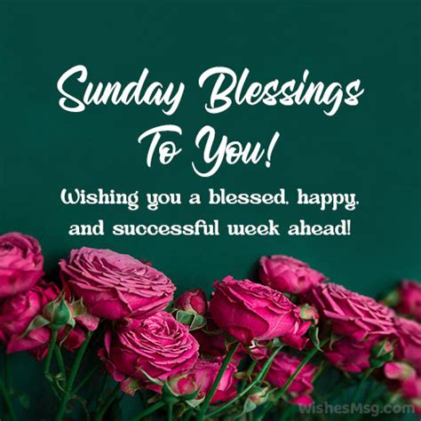 150 Happy Sunday Wishes Messages And Quotes Wishesmsg