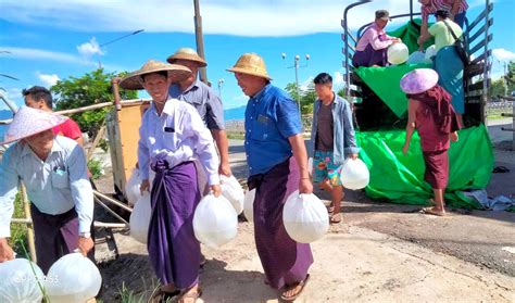 မိုးညှင်းမြို့နယ် အင်းတော်ကြီးအိုင်အတွင်းသို့ ပထမဆုံးအကြိမ် အလှူရှင်တစ်ဦးမှ ဇီဝိတဒါနအလှူ အဖြစ် င