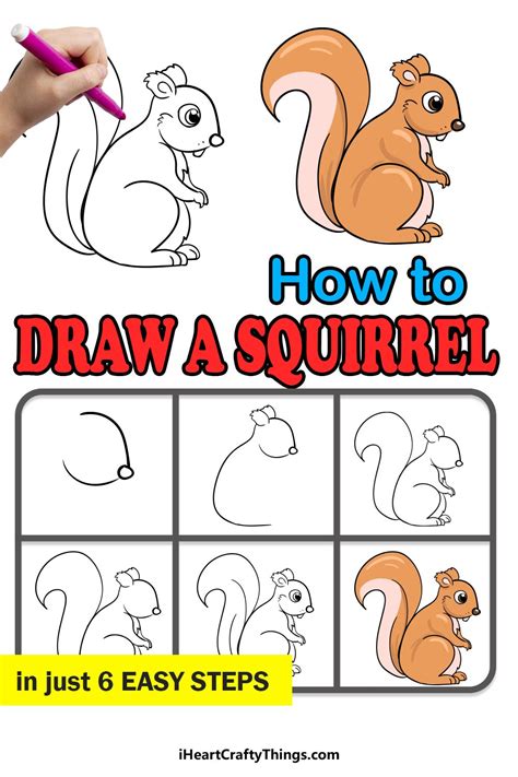 How To Draw A Squirrel A Step By Step Guide Artofit