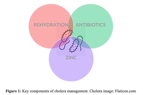 Emergency Medicine Educationscreen Shot 2024 03 09 At 9 41 39 Pm