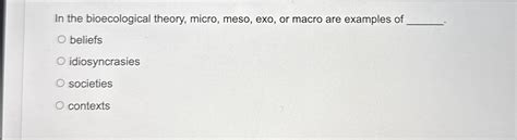 In The Bioecological Theory Micro Meso Exo Or