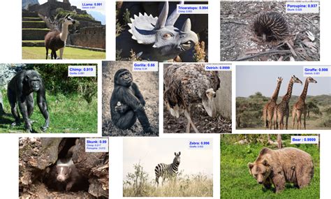 image classification using transfer learning in pytorch r artificial