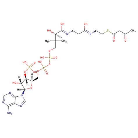 Acetoacetyl Coa Structure