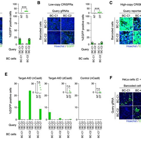 Barcode Dependent Cell Isolation From A Hek293t Cell Population A Download Scientific