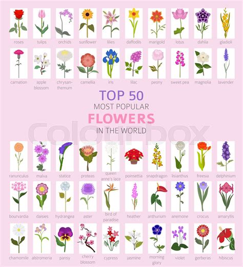 Most Popular Flowers With Pictures
