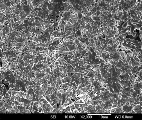 Sem Micrograph Of The Sample Pelletized At 750 Mpa Download