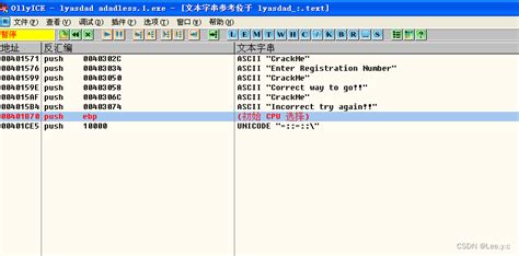 逆向破解crackme简要分析 Csdn博客