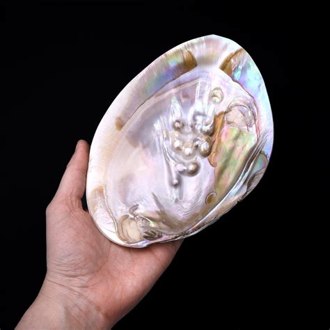 Large Natural Mother Of Pearl Shell Dish W Real Iridescent Blister