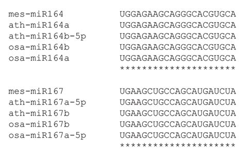 Suppl Multiple Sequence Alignment Of The Nucleotide Sequences Of Download Scientific Diagram