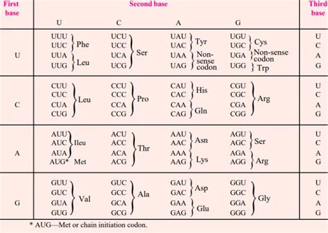Genetic Code Definition Characteristics Wobble Hypothesis Biology