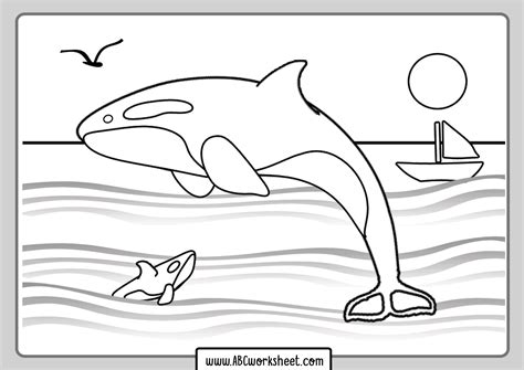 Orca Coloring Pages Printable