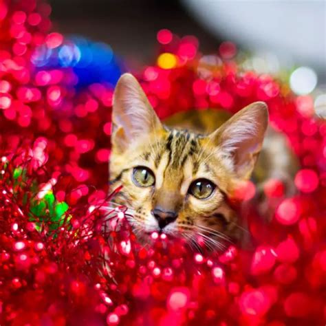 How To Trick Your Brain Into Believing Anything 17 Mind Bending Methods 🤯 Mind Trick™