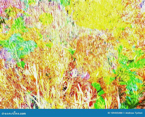 Coloured Tree Canopy Wallpaper Stock Photo Image Of Textured Woods