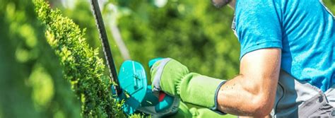 Shrub Removal Services Professional Local Arborist For Homes