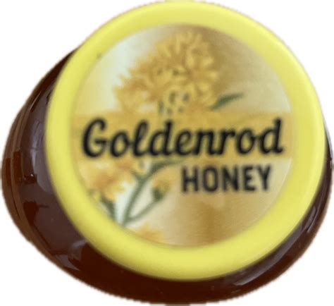 Pure Goldenrod Honey 8oz Evilo Oils And Vinegars