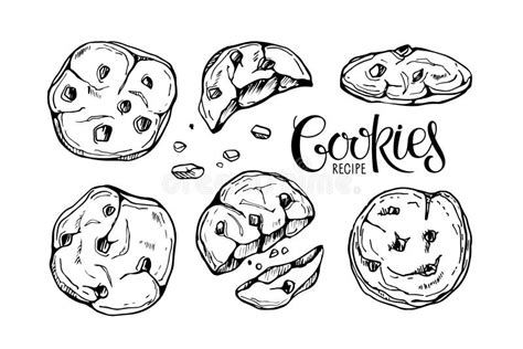 Cookies Sketch Set Isolated On White Background Chocolate Chip Biscuit