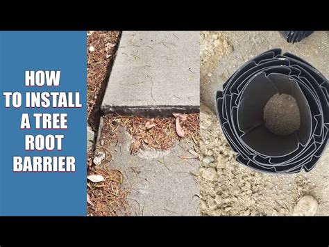 Tree Root Barrier Do Work Nds Root Barrier Panels 12 X 24